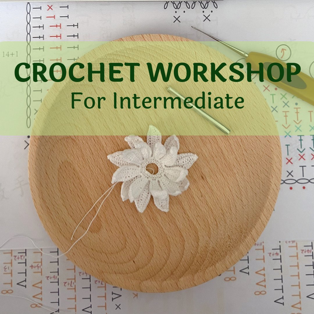 Intermediate Crochet Workshops/Classes – MiniCrochet | Mini Crochet | Micro Crochet